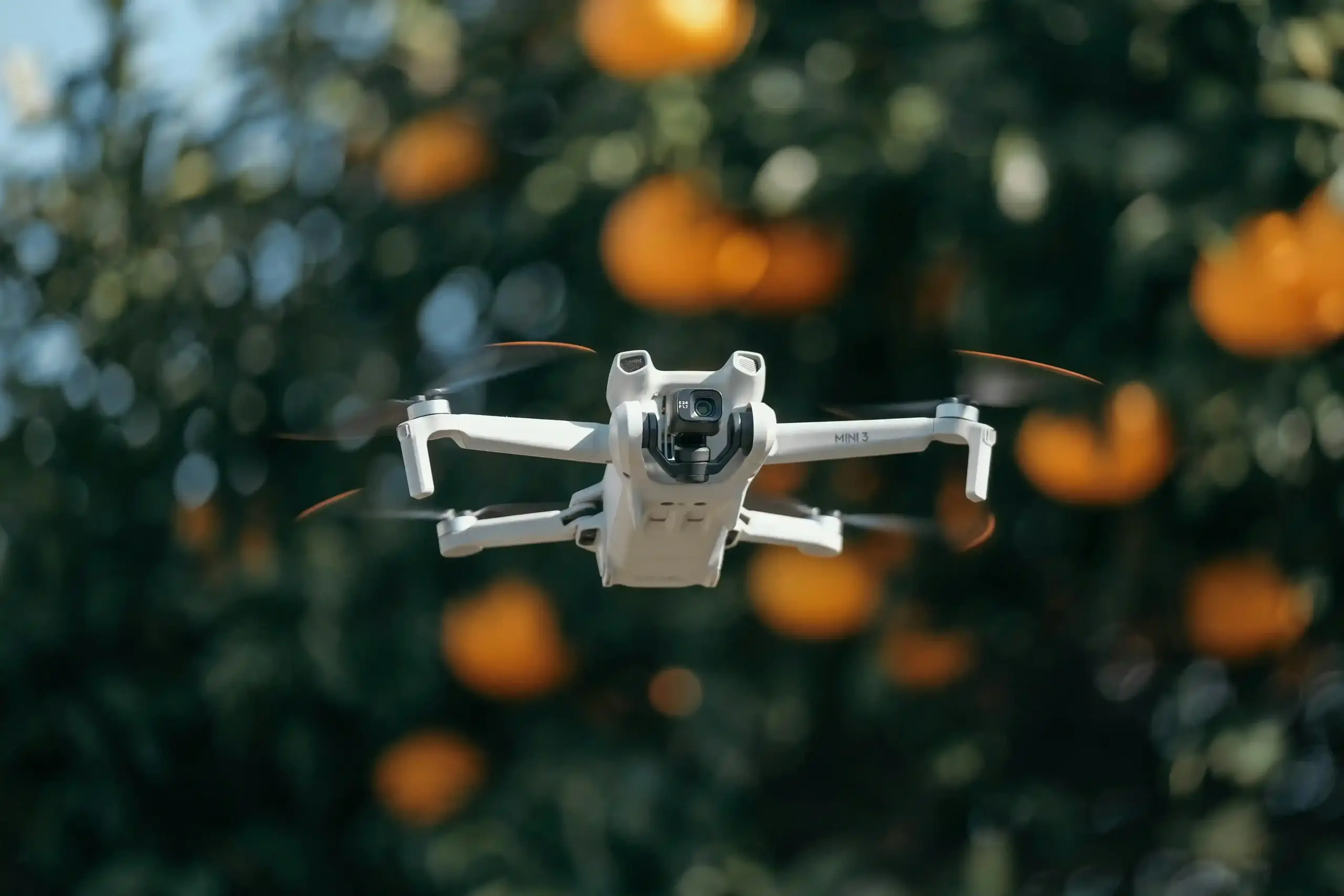 2025 Drone Industry Trends: AI, Entertainment, Deliveries, and ...